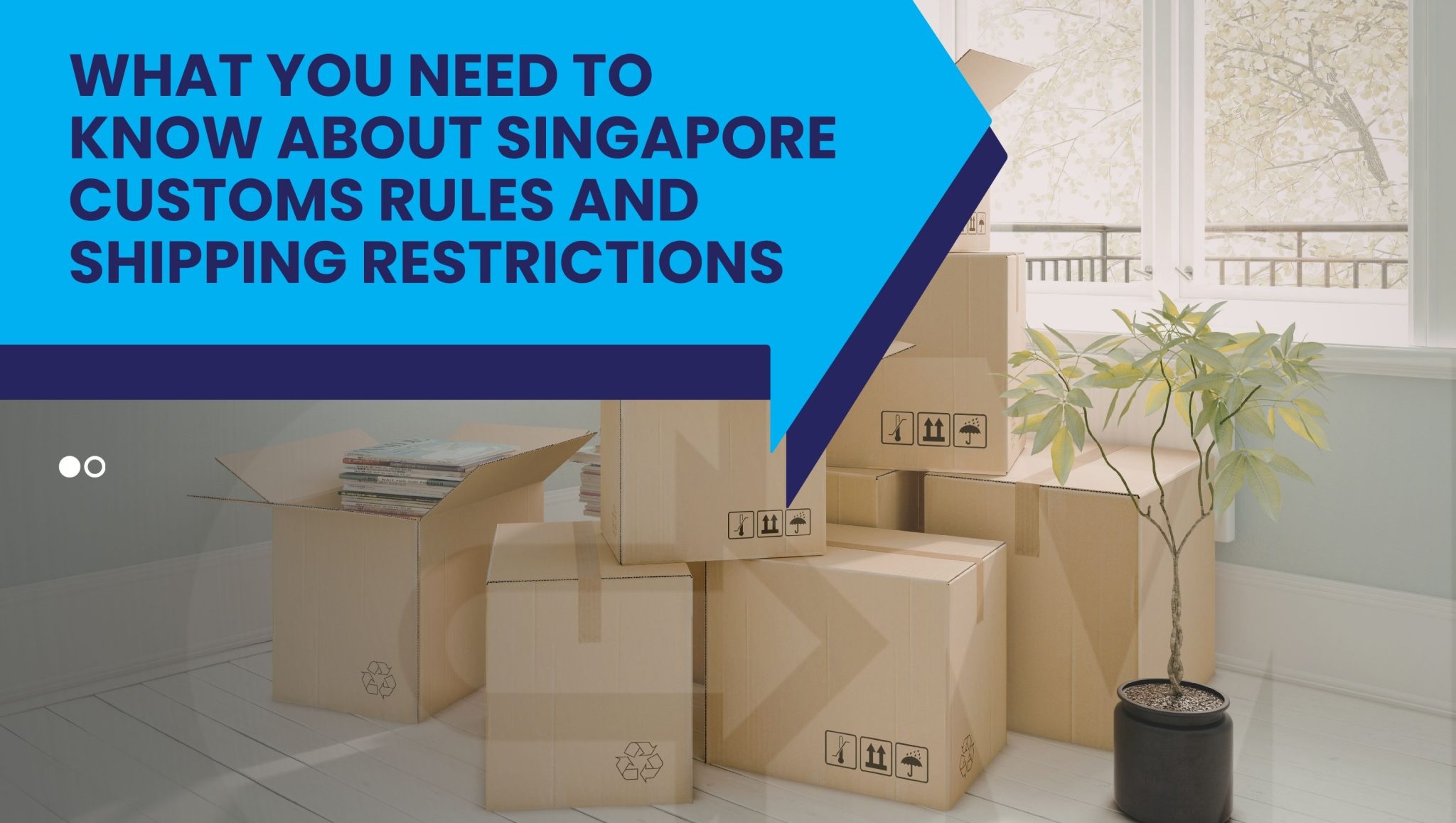 7 Singapore Customs Rules and Shipping Restrictions Tips